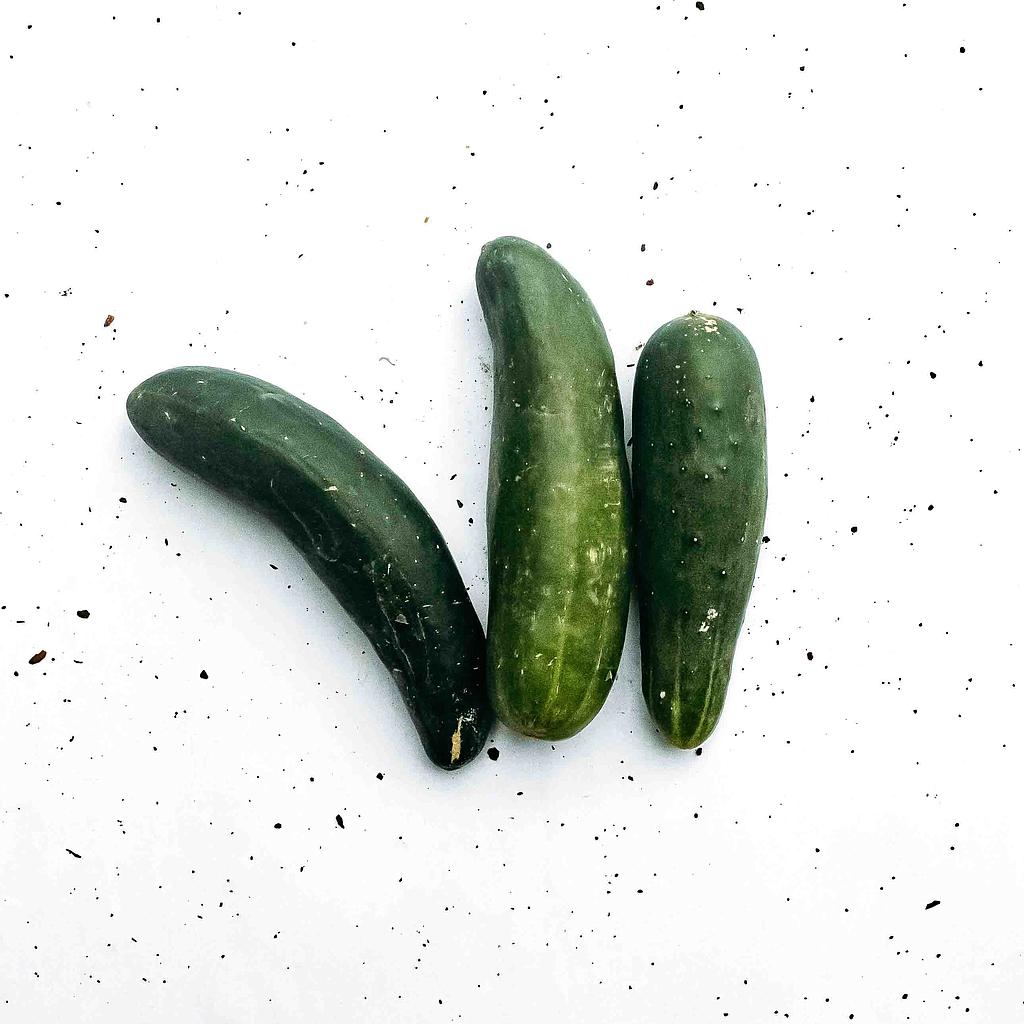 Pepino Caipira Orgânico - Delivery de Orgânicos do Pequeno Produtor - Raízs